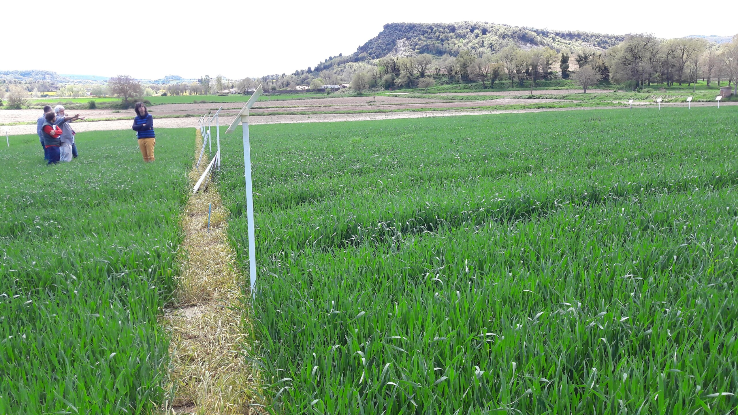 Optimising management of livestock manure - i2connect